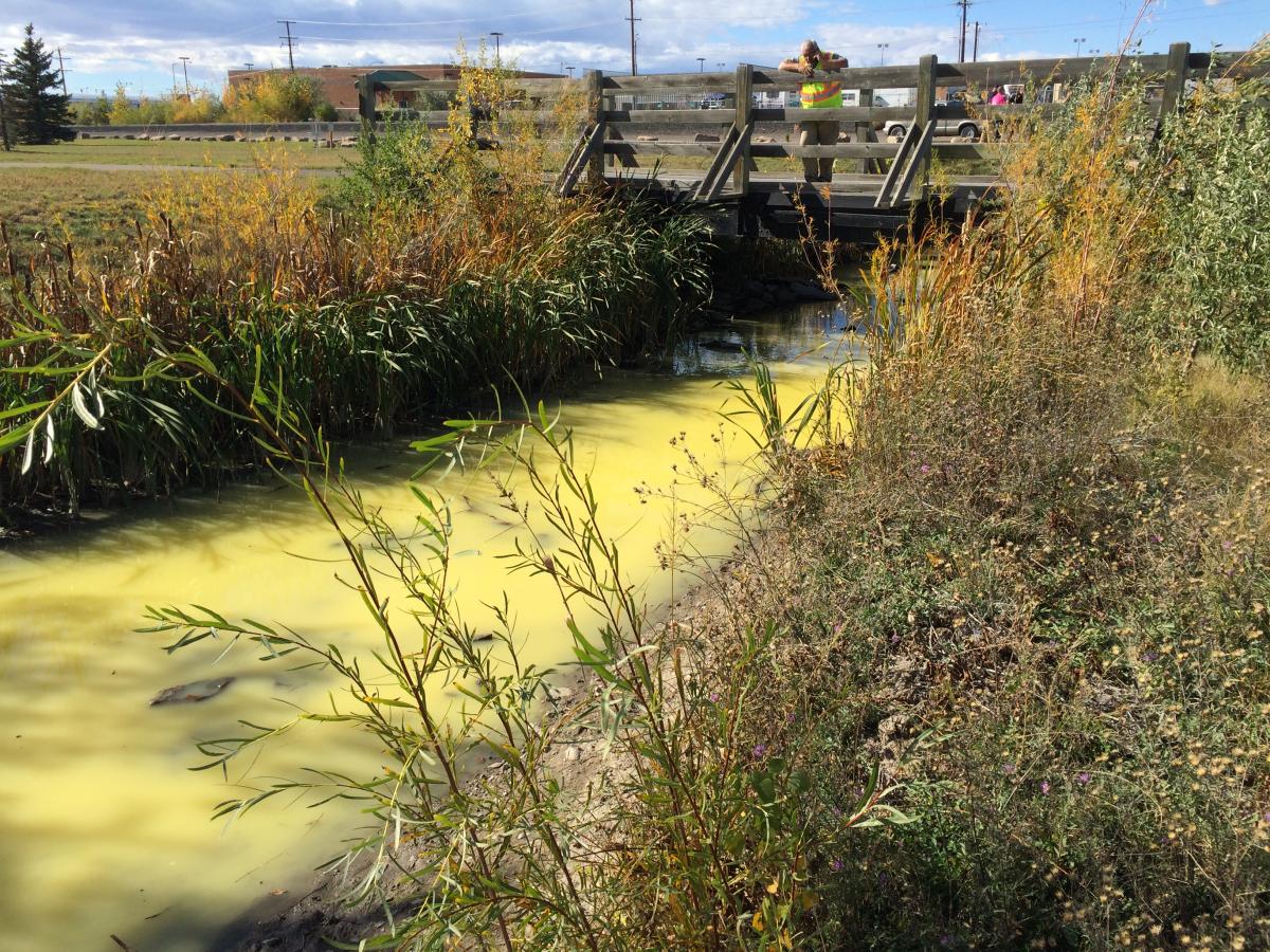 Minimum Control Measures (MCM)-3 Illicit Discharge Detection and ...